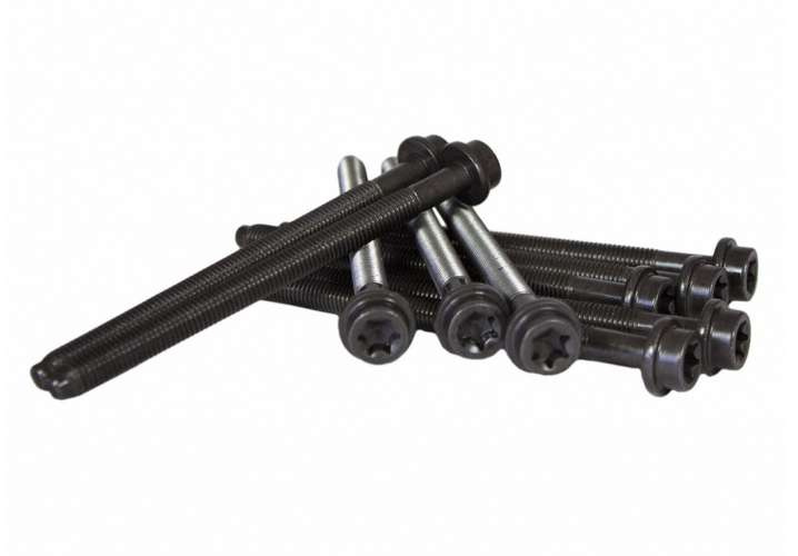 śruby głowicy Ford EcoBoost Duratec Zetec Reinz 10 szt, 98MM-6065-AC ...